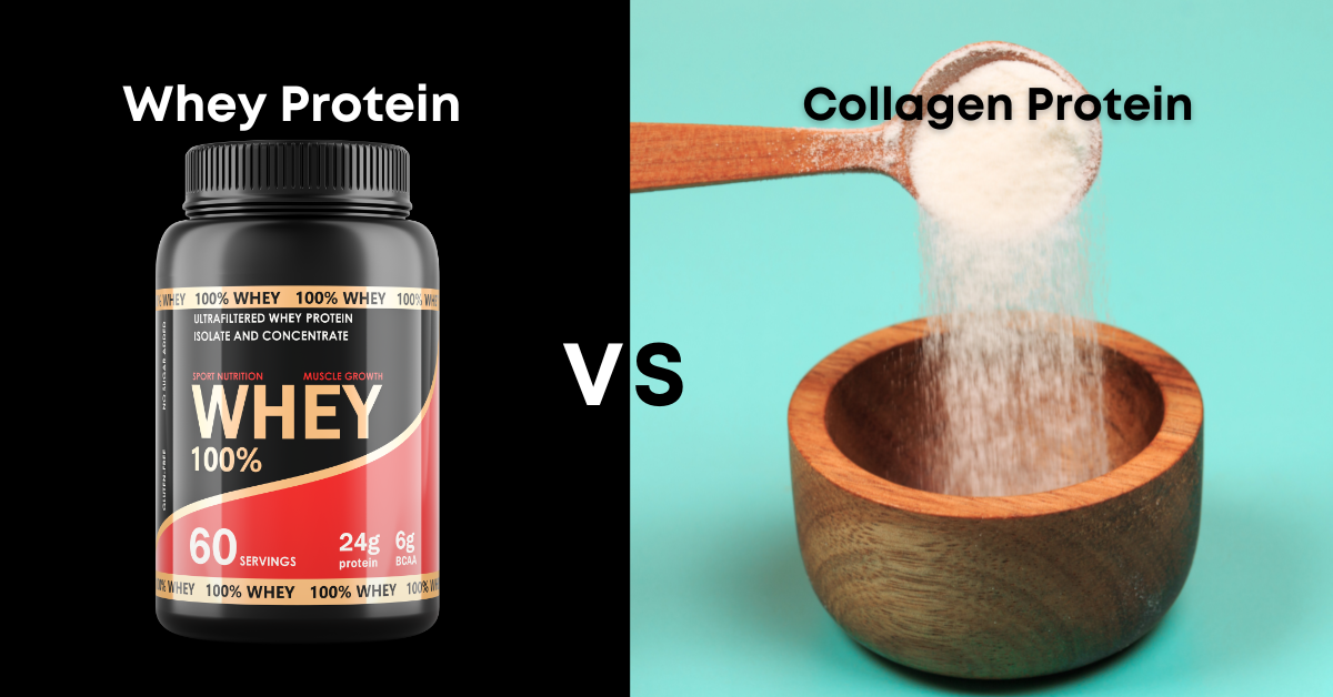 Whey Protein vs. Collagen Protein: Which One is Right for You? – NutriFitt